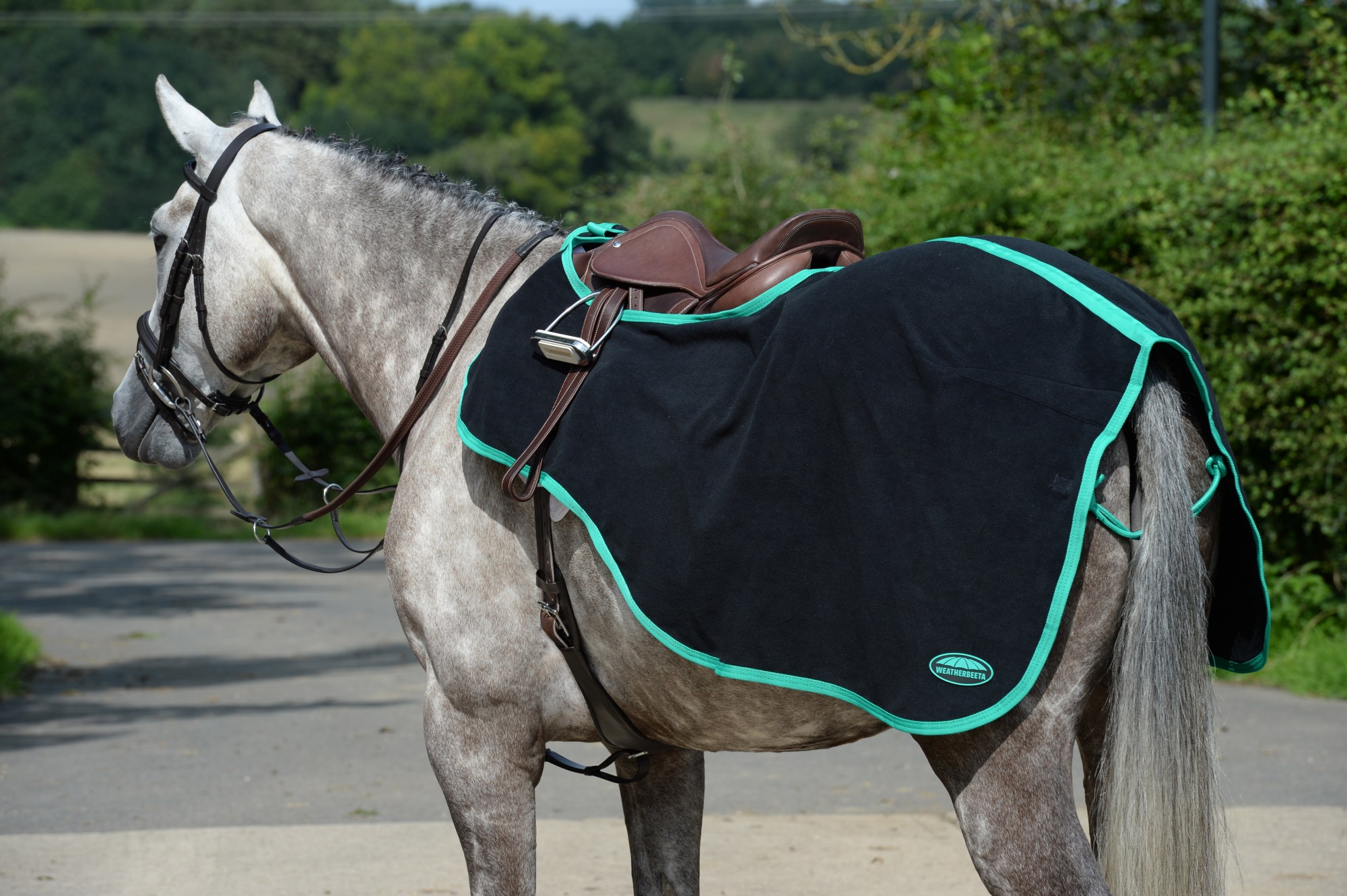 Weatherbeeta Fleece Exercise Sheet (Black/Green) - Old Dairy Saddlery