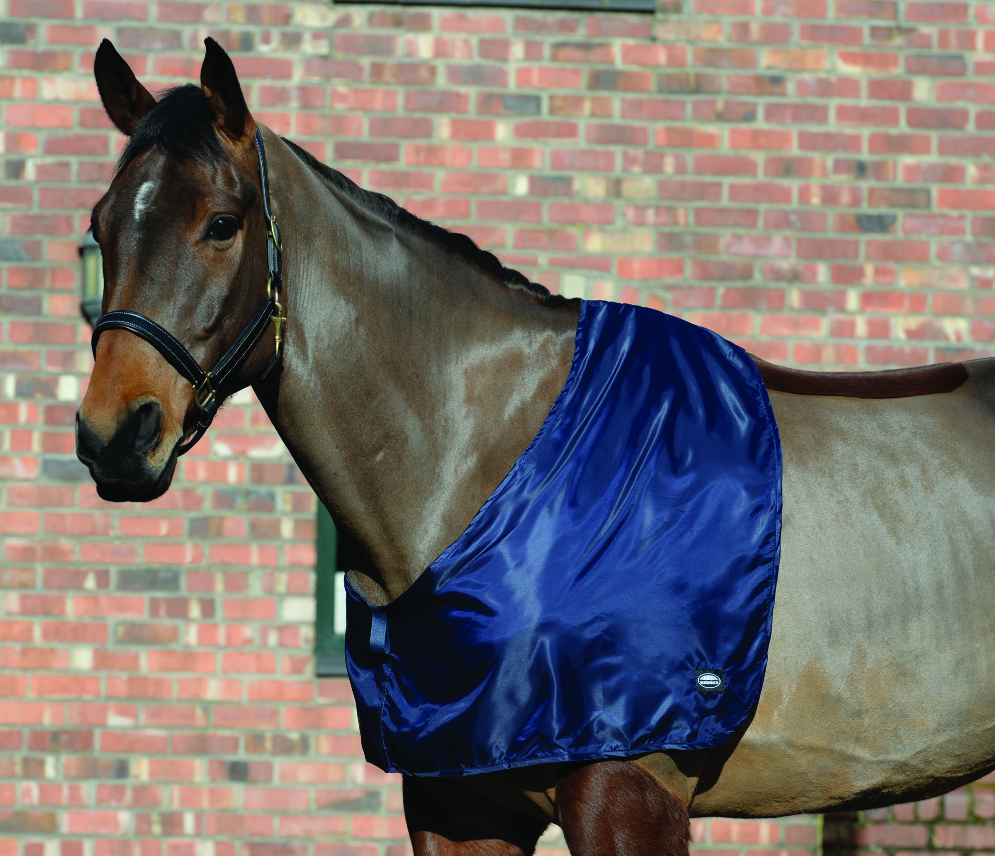 Weatherbeeta Satin Shoulder Guard (Navy) - Old Dairy Saddlery