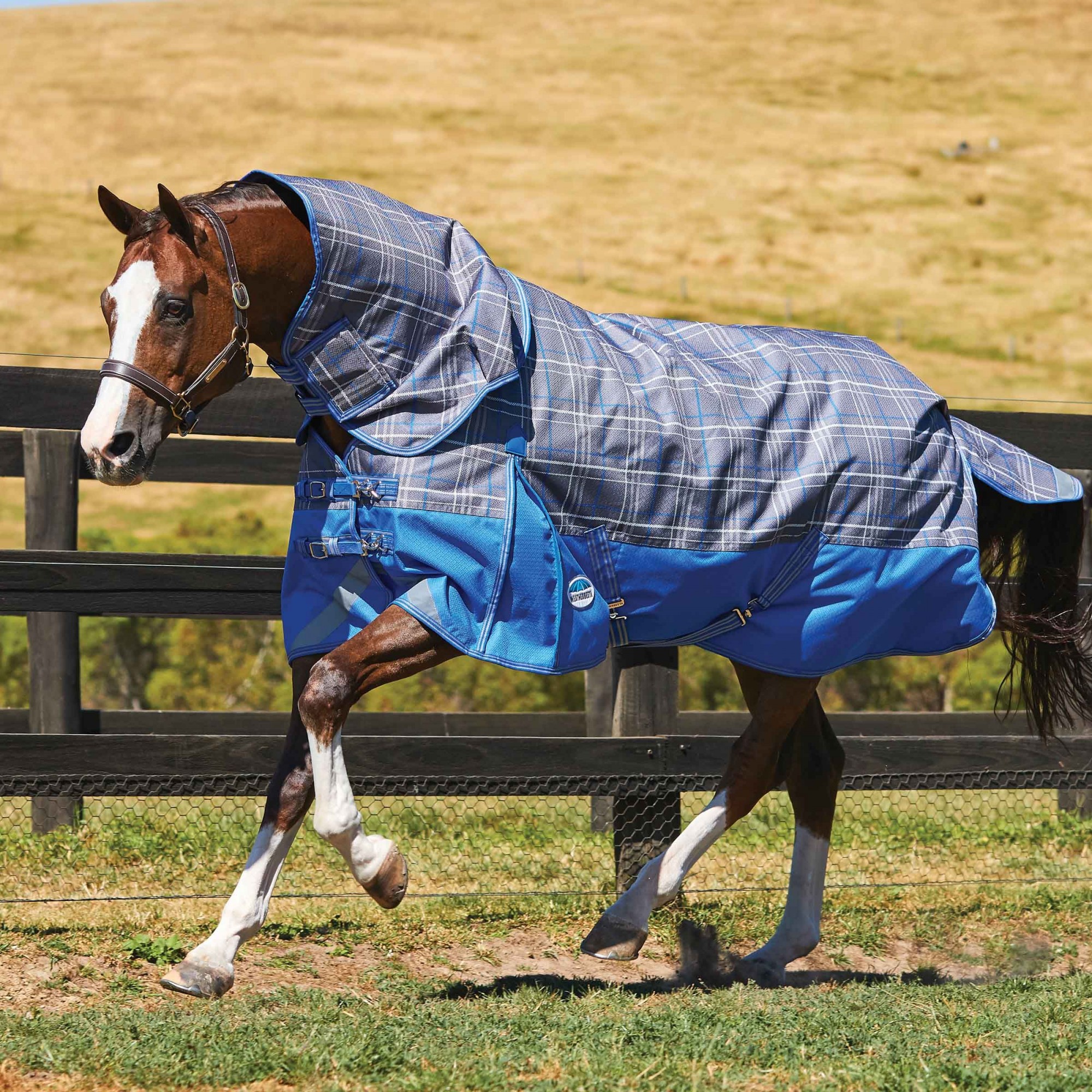Weatherbeeta Comfitec Premier Trio Detach-A-Neck Medium (Grey Plaid ...