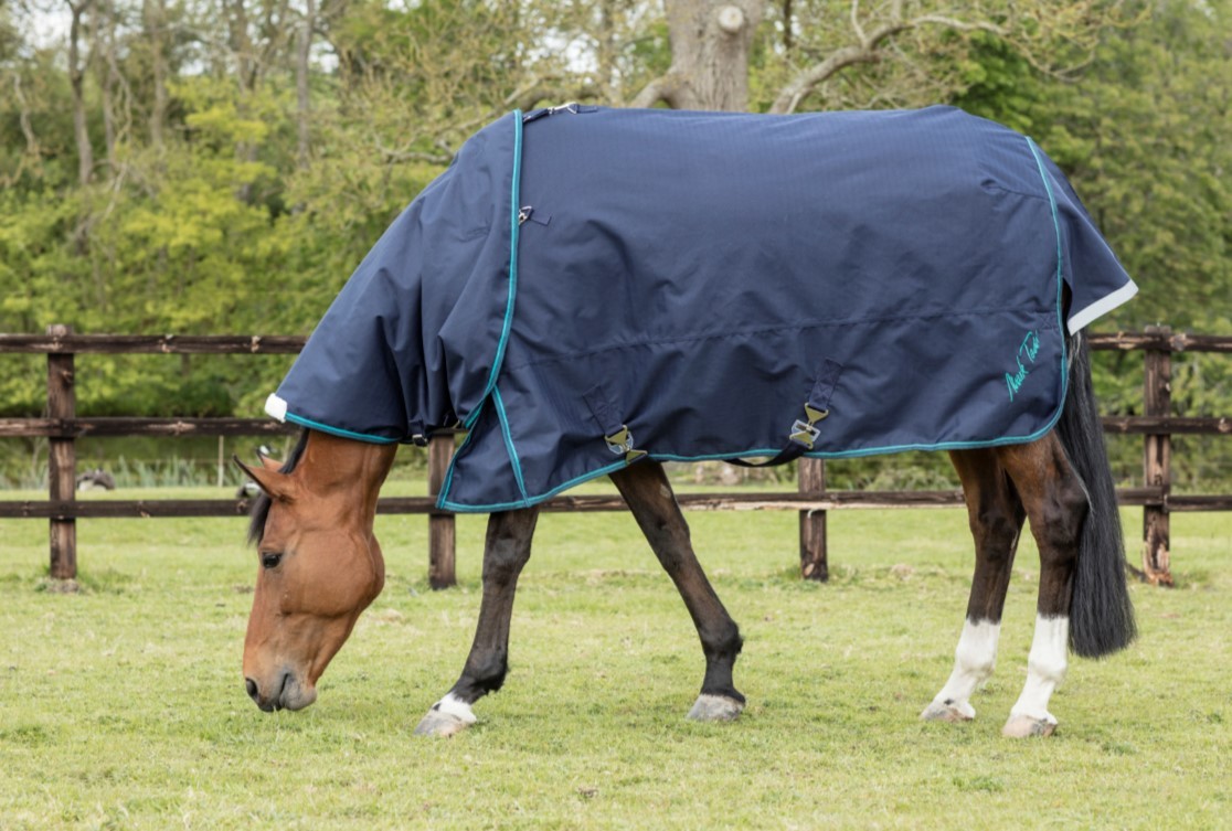 Mark Todd Heavyweight Turnout Rug Detach Neck Navy & Jade - Old Dairy ...