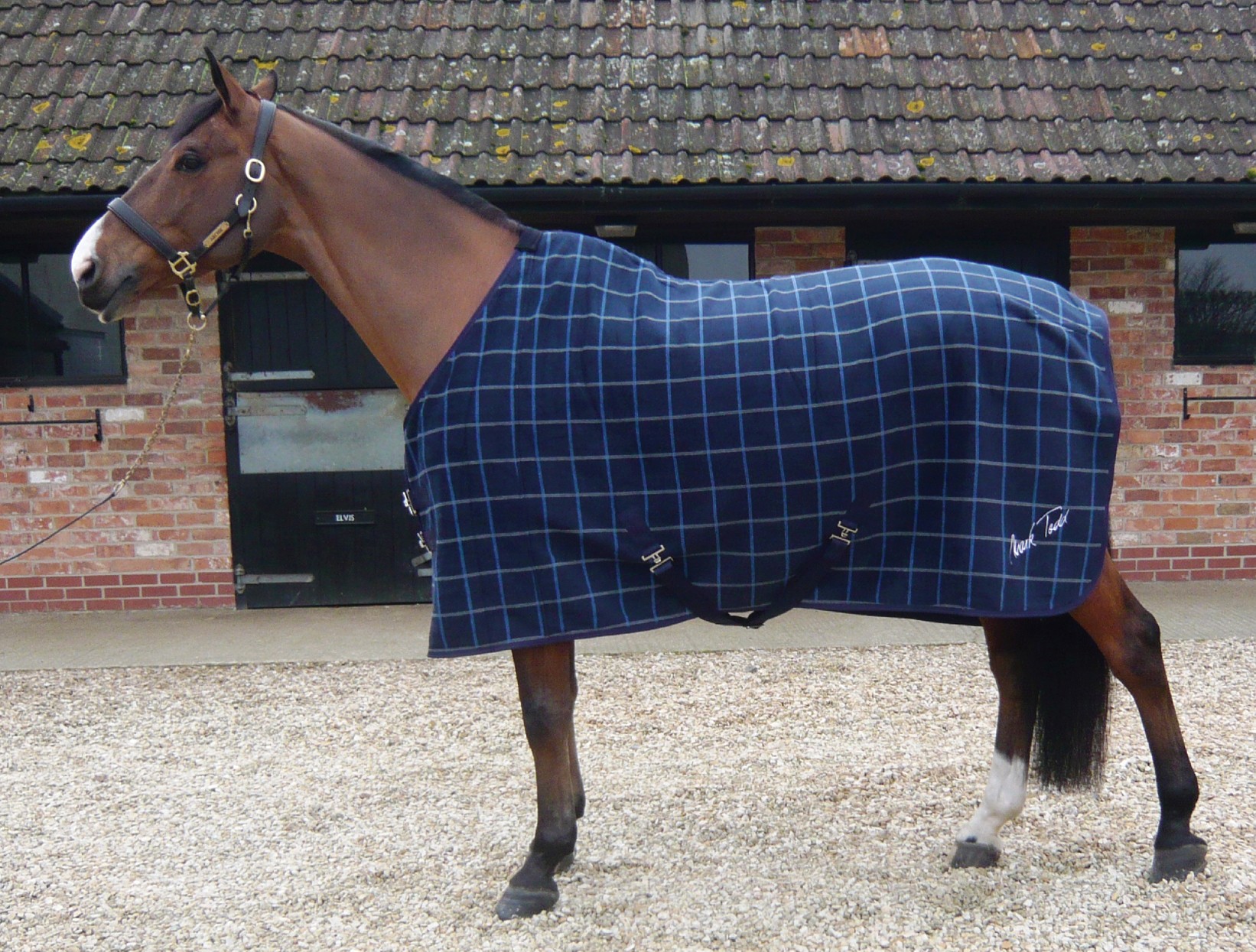 Mark Todd Bonded Fleece Rug Navy Plaid - Old Dairy Saddlery