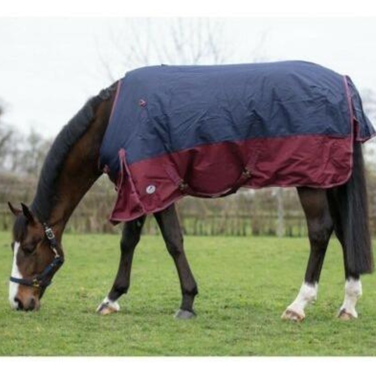 JHL Mediumweight Turnout Rug Navy & Burgundy - Old Dairy Saddlery