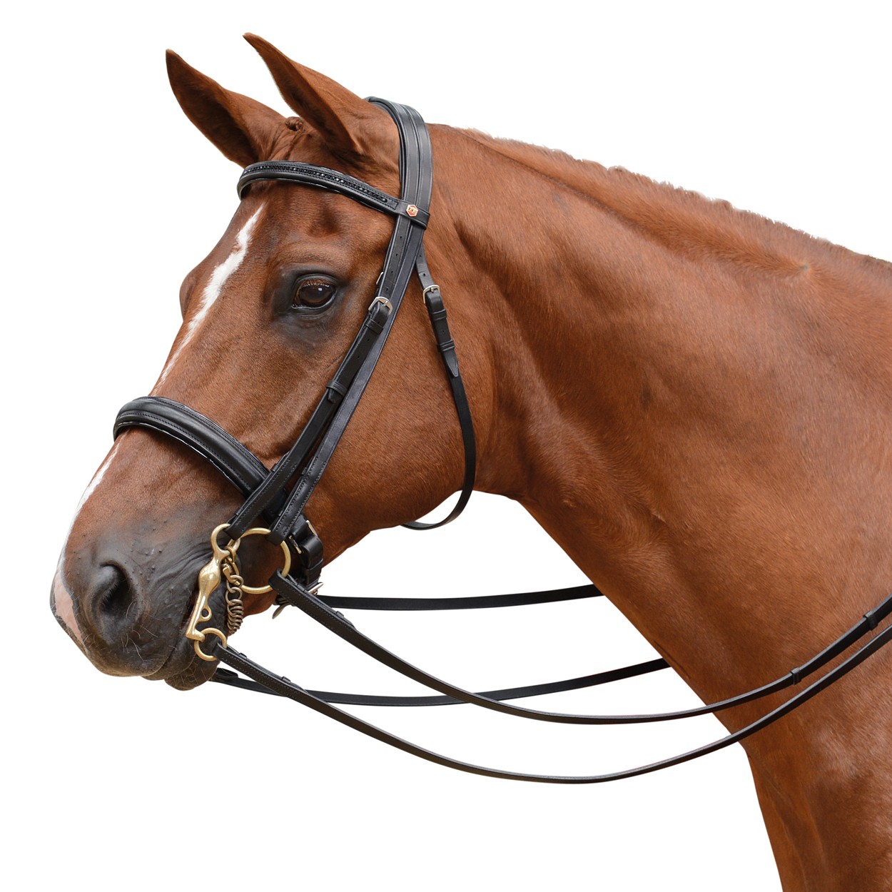 Albion KB Competition Weymouth Bridle with Crank (30mm thickness ...