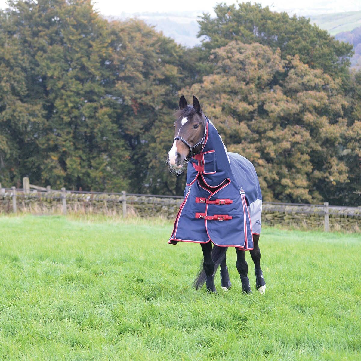 Navy/Grey Masta Fieldmasta 200g Fixed Neck Turnout Rug - Old Dairy Saddlery