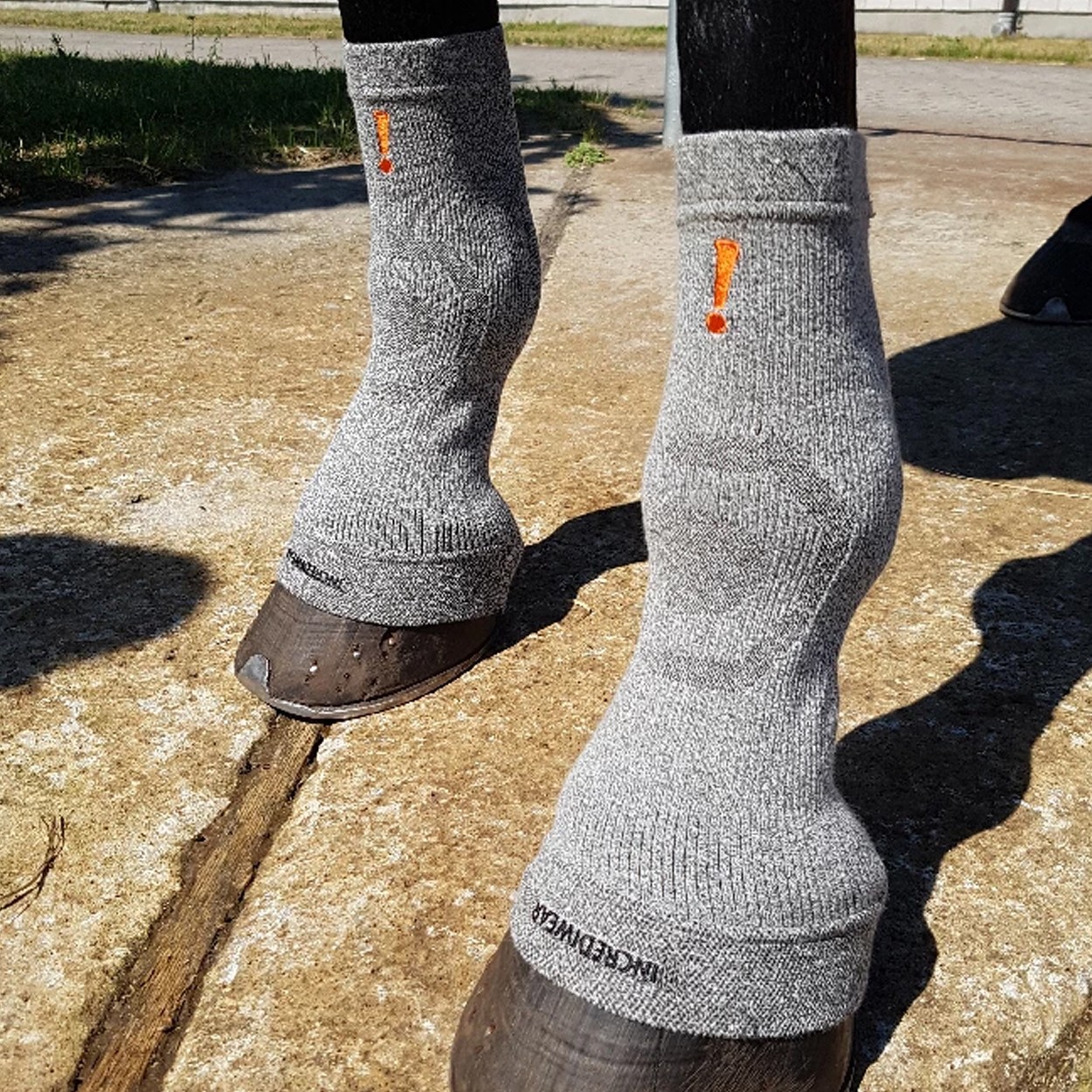 Incrediwear Equine Circulation Hoof Socks - Old Dairy Saddlery