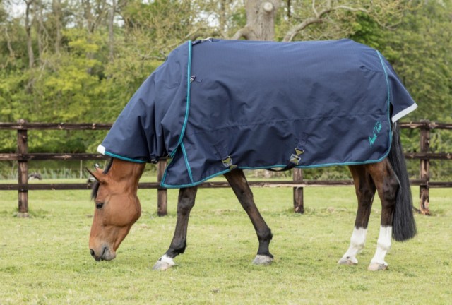 Mark Todd Heavyweight Turnout Rug Detach Neck Navy & Jade - Old Dairy ...