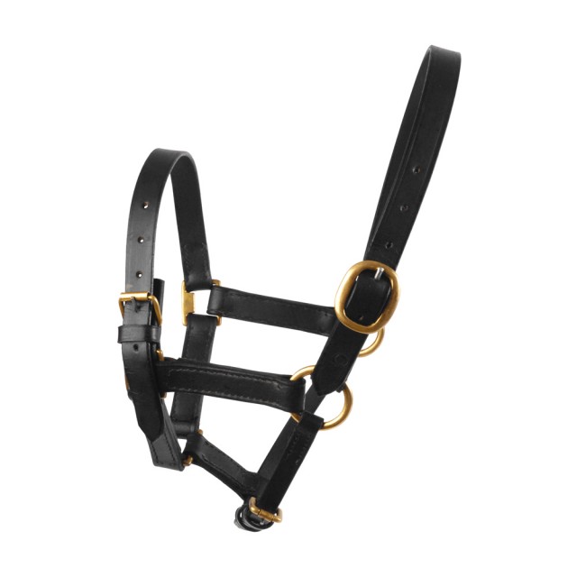 JHL Leather Foal Headcollar Black - Old Dairy Saddlery