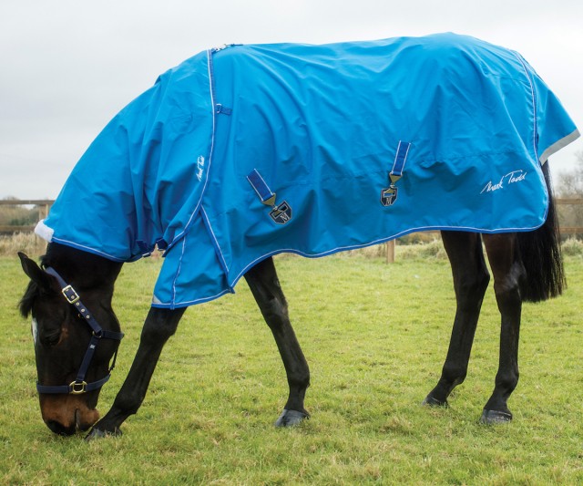 Royal/White Mark Todd Lightweight Turnout Rug - Old Dairy Saddlery