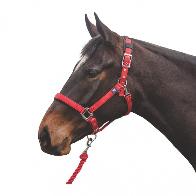 Mark Todd Deluxe Padded Headcollar With Leadrope - Old Dairy Saddlery